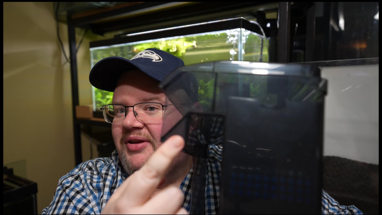New Aquaclear Update - 6 Weeks of Testing, How Is It Doing? - YouTube