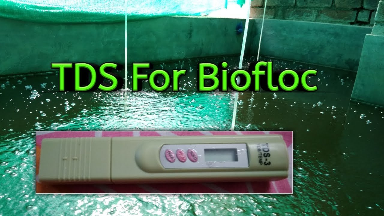 TDS For Biofloc | Biofloc Fish Farming | Biofloc In Bengali - YouTube