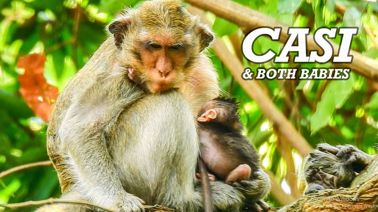 MOM CASI PAYS ATTENTION TO BABY CALVIN MORE THAN EVER BEFORE, BABY ...