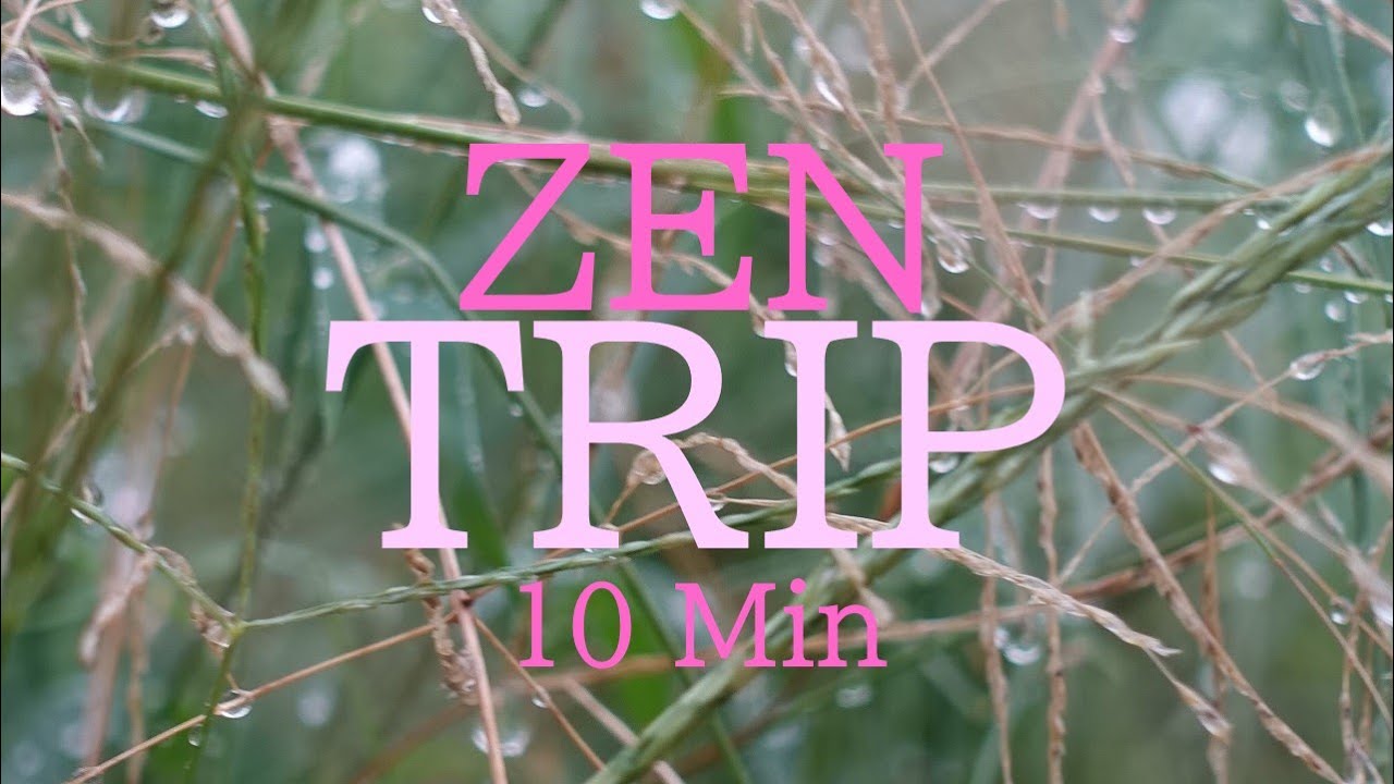 Enlightenment Day 074 of 108 - 10 Minute Zen Music for Meditation ...