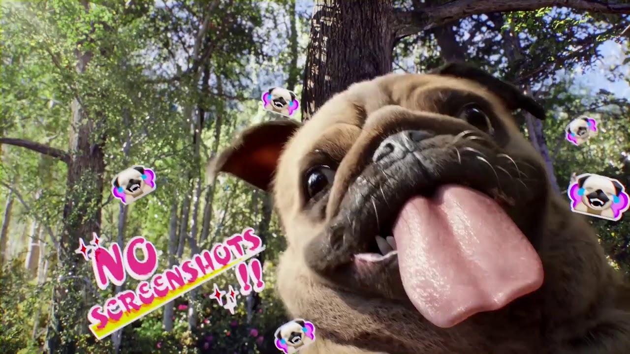 Behind The Scenes Three ‘Free Your Puggerfly’ - YouTube