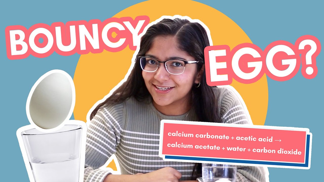 BOUNCY EGG EXPERIMENT | EASY SCIENCE FOR KIDS | - YouTube