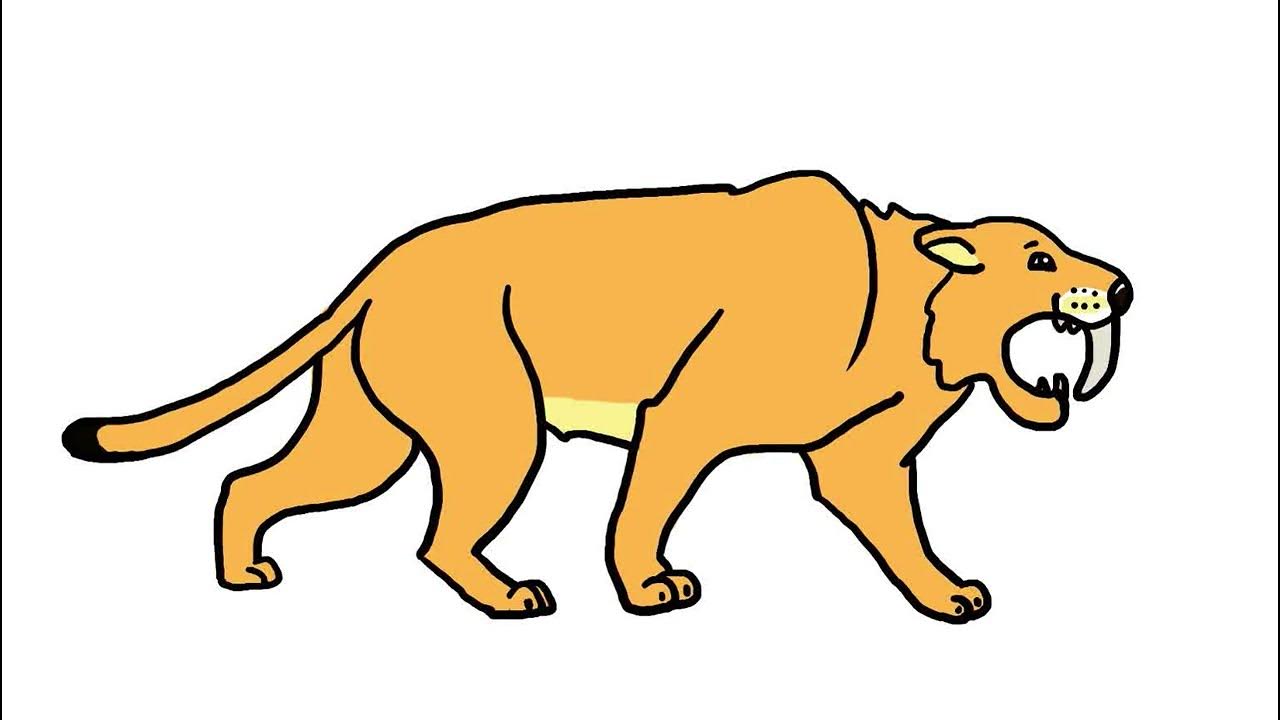 How to draw a saber toothed tiger easy - YouTube