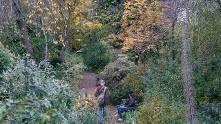Hidden Gem in London Covent Garden: Phoenix Garden