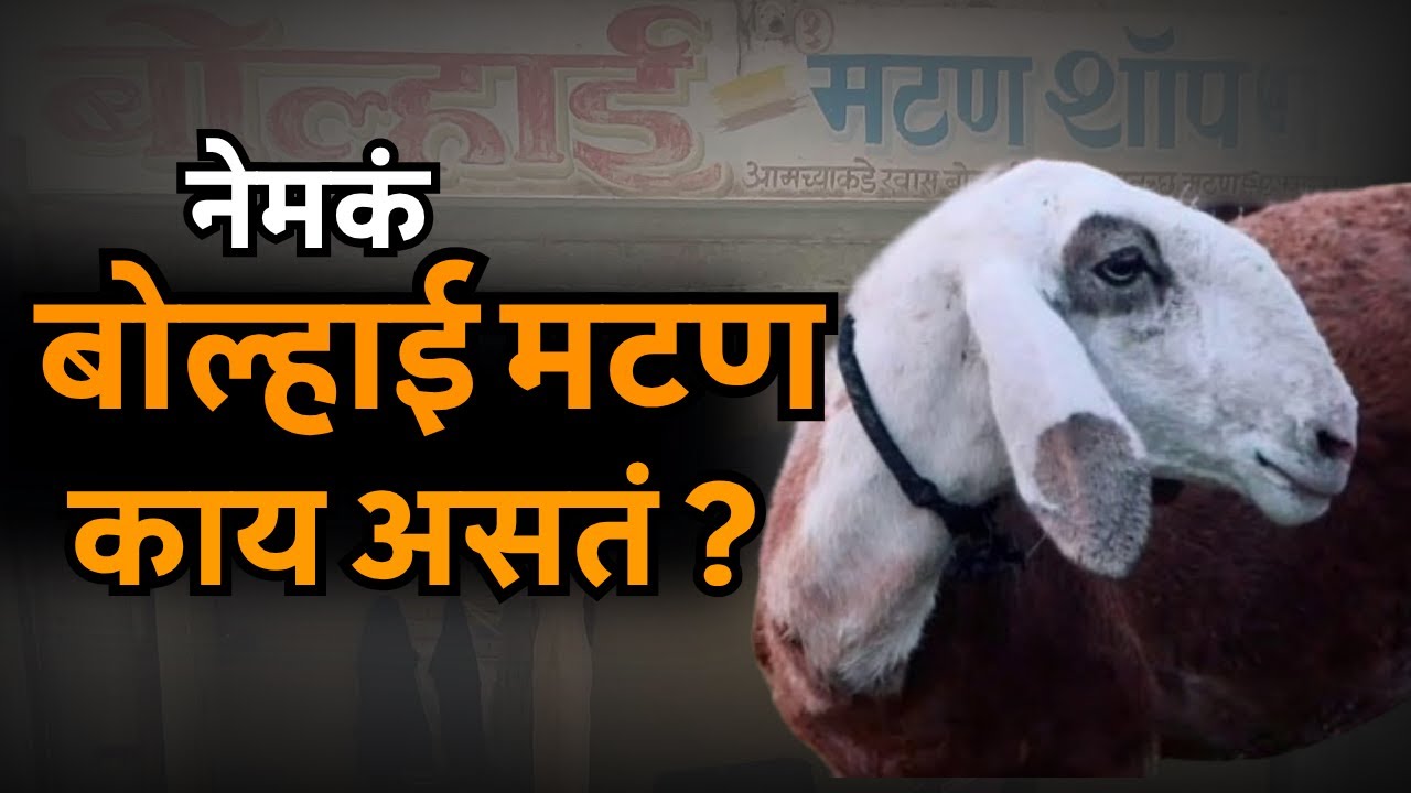 बोल्हाई मटण काय असतं ? | What is Bolhai Mutton? | Pune Special ...