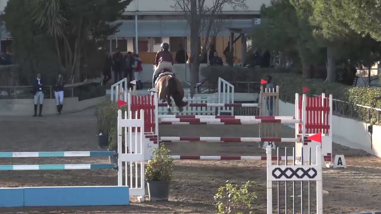 Vika show - 11yo mare x Tinkas - YouTube