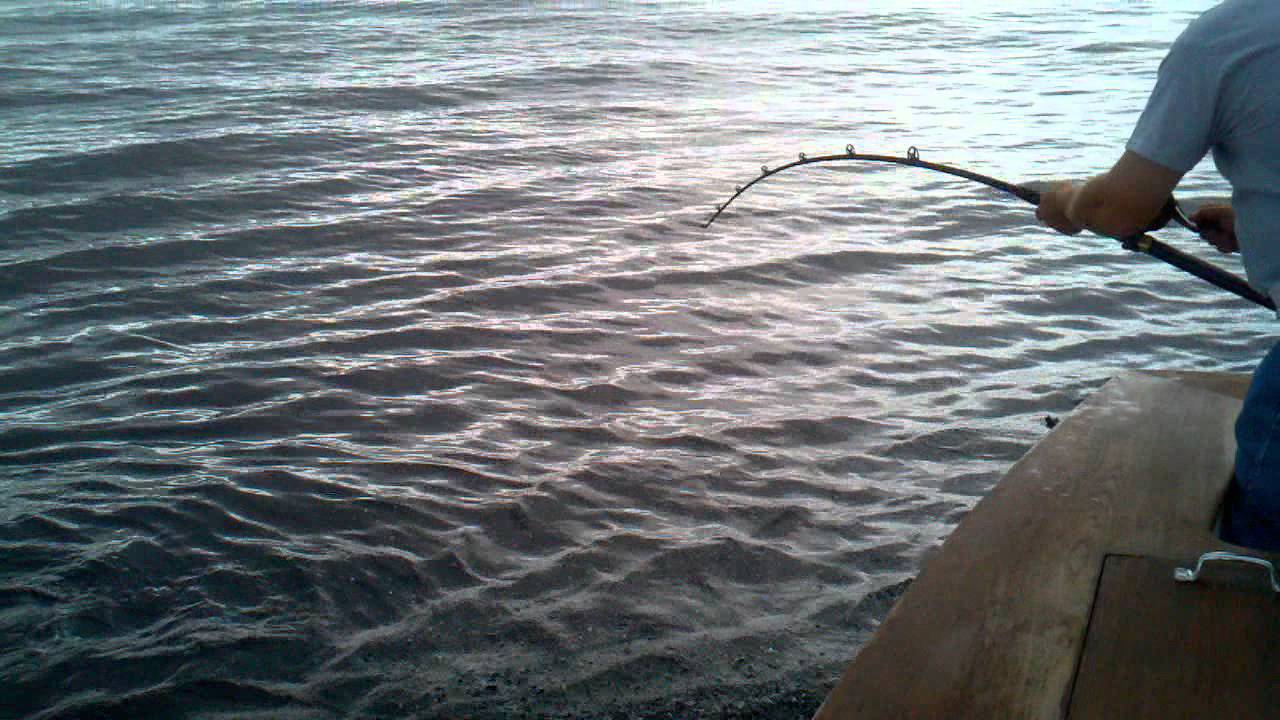 John Bredenkamp catches white marlin - YouTube