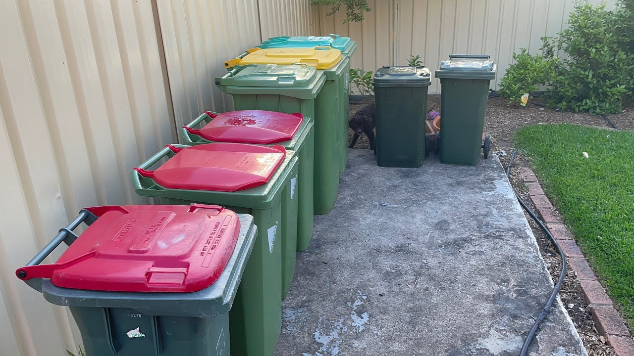 2022 Bin Update - YouTube