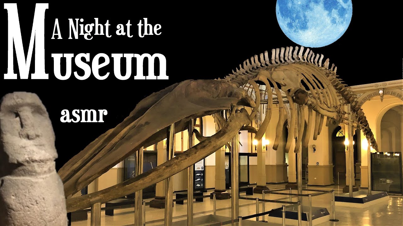 A Night at the Museum: ASMR for sleep (Paleontology, Archaeology ...