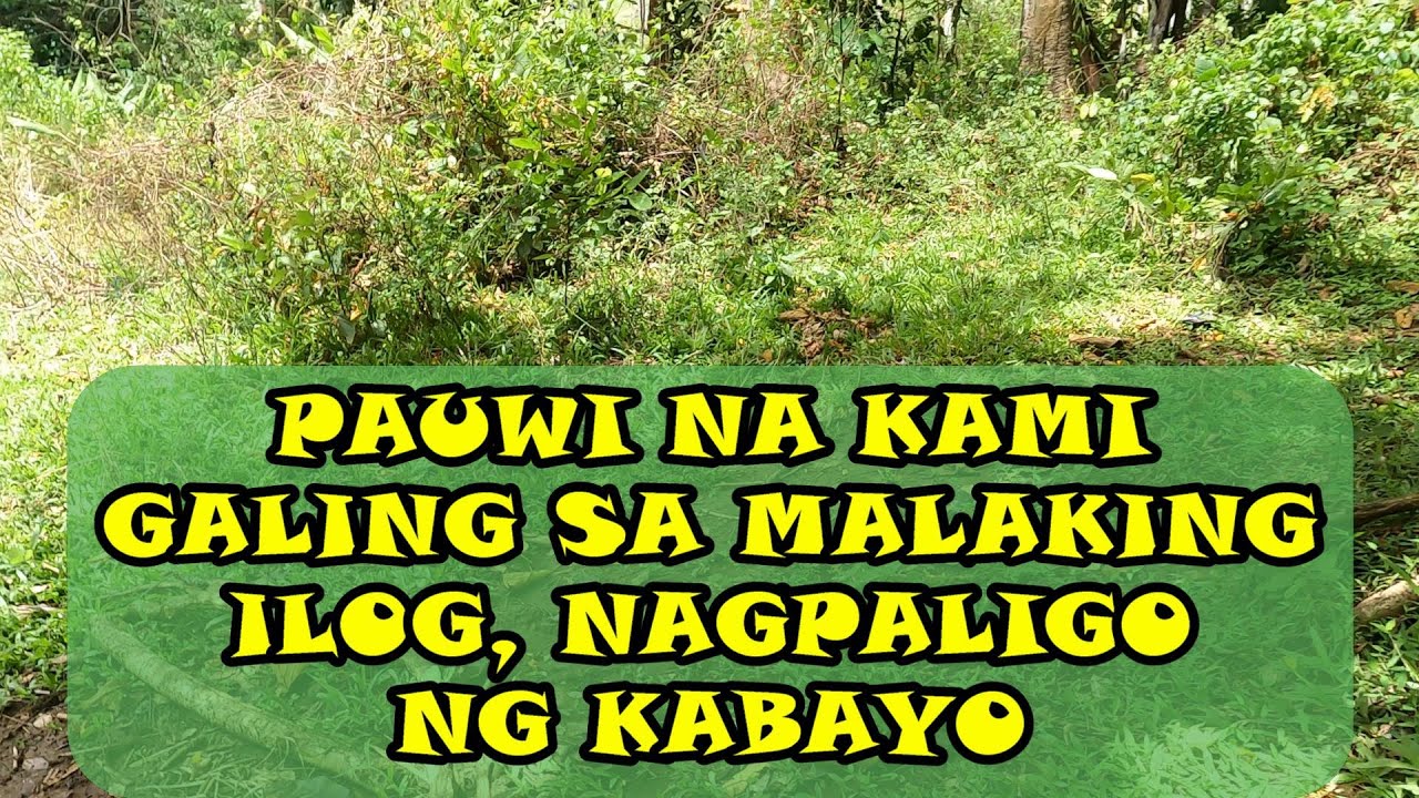 PAUWI NA KAMI GALING SA MALAKING ILOG, NAGPALIGO NG KABAYO - YouTube