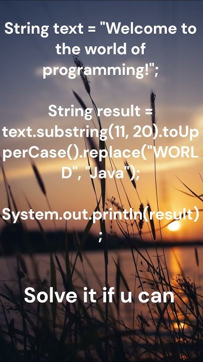 Can U Solve The Output Strings And String Functions Java Coding Codemastery Codingpuzzle 
