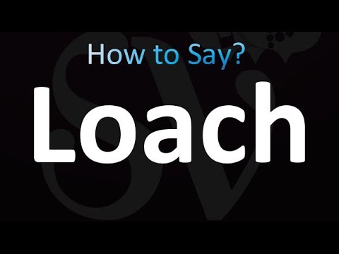 How to Pronounce Loach (correctly!) - YouTube