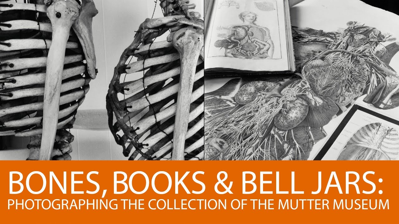 Bones, Books & Bell Jars: Photographing the Collection of the Mutter ...