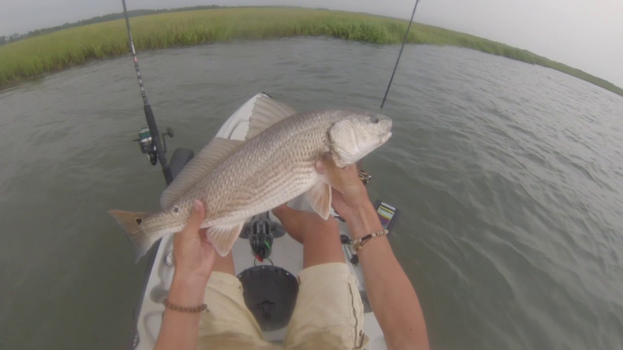 Saltwater Multi-Species Inshore Fishing in S. Delaware - YouTube