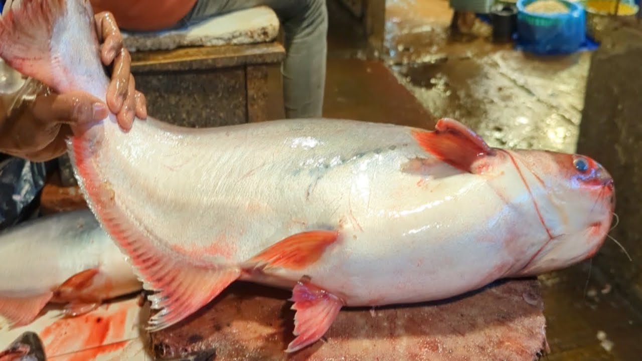 Amazing Pangas Fish Cutting & Skinning Skills In Bangladesh Fish Market ...