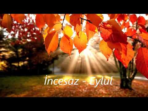 Şükrü Erbaş - Seni öpsem