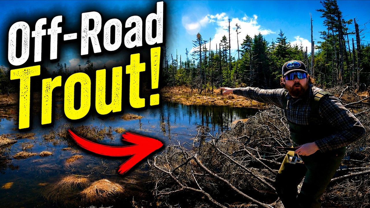 OFF-ROAD Trout Fishing In Nova Scotia! |Trailblazing Adventure - YouTube