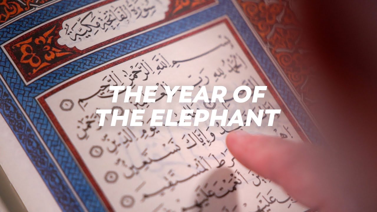 The Year of the Elephant (EP04) - YouTube