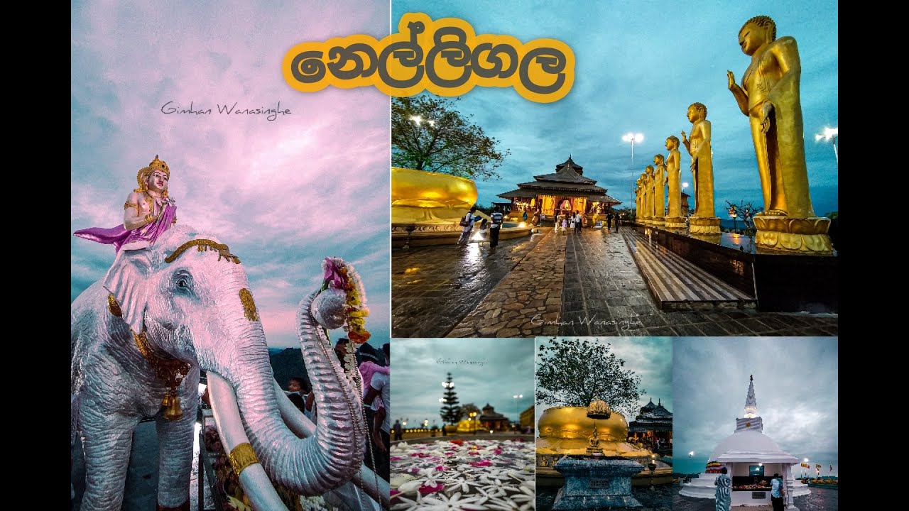 නෙල්ලිගල ජාත්‍යන්තර ‍බෞද්ධ මධ්‍යස්ථානය - Nelligala International ...