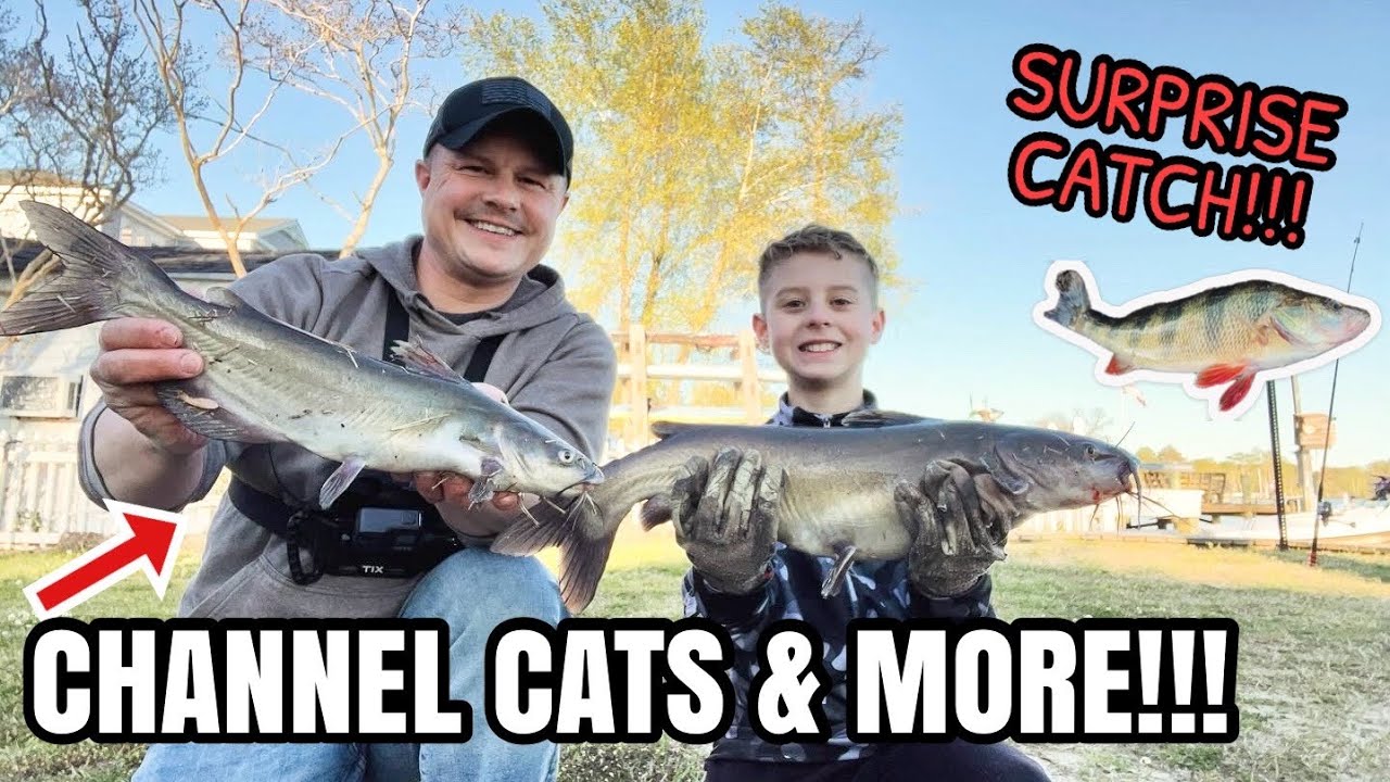 BIG Catfish, Perch, & SURPRISE CATCH!!! - Fishing Brackish Water in ...