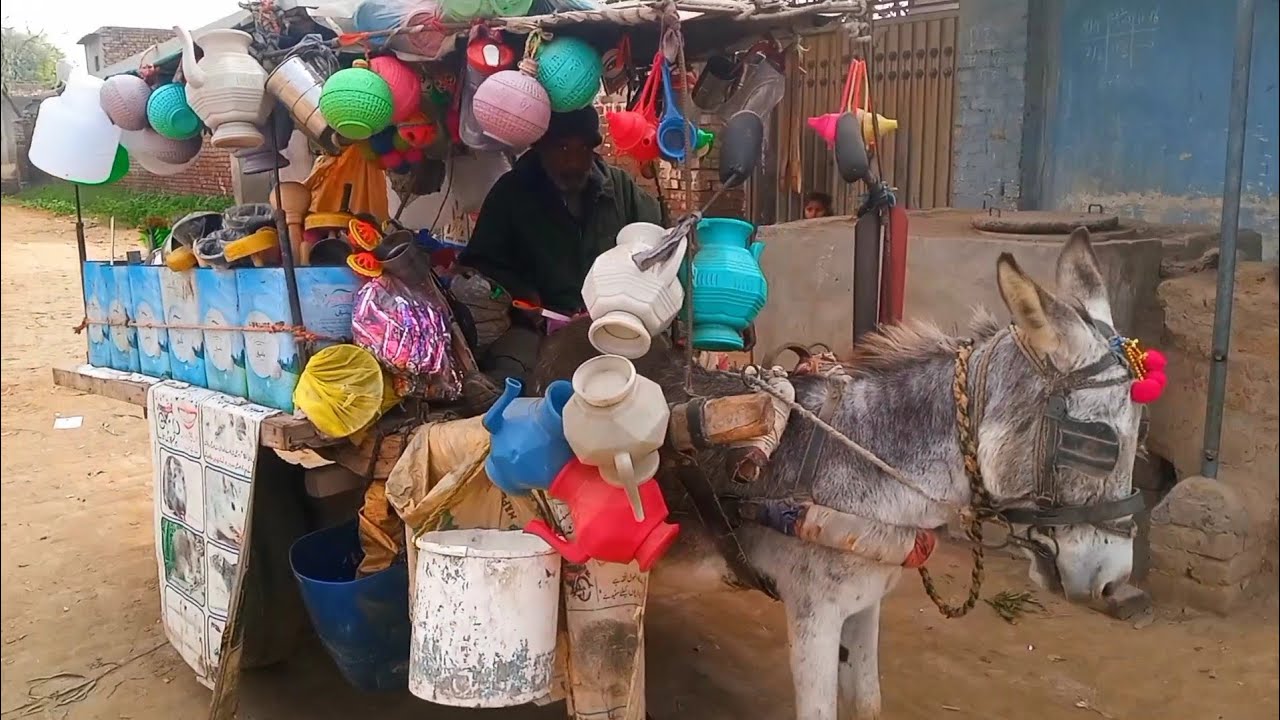 pakistani prank gadha gari gadha gari in pakistan gadha gari karo ...