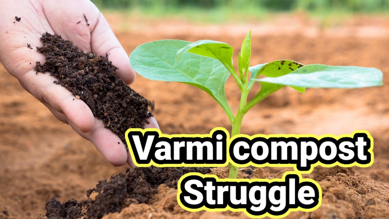 varmi compost plant Struggle | Varmi compost Businesses में किन ...