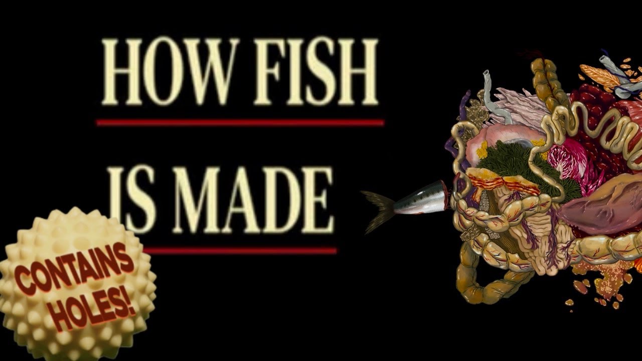 Did I find a SECRET? {How Fish Is Made} TRYPOPHOBIA WARNING - YouTube
