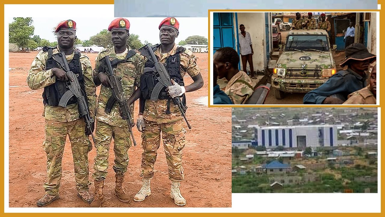 What Next for NSS After President Kiir & FVP Dr Riek Remove Its Power ...