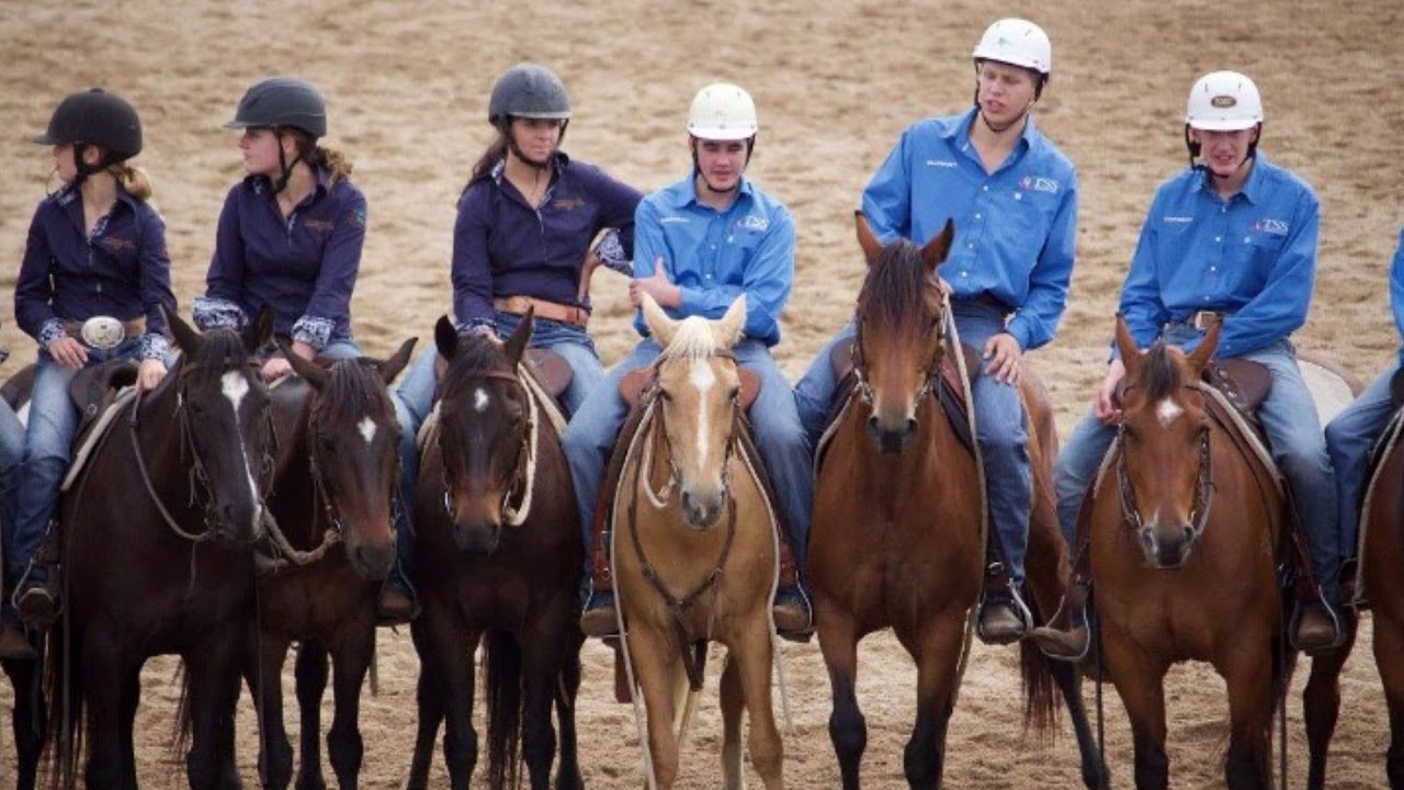 2017 Campdraft Team - YouTube