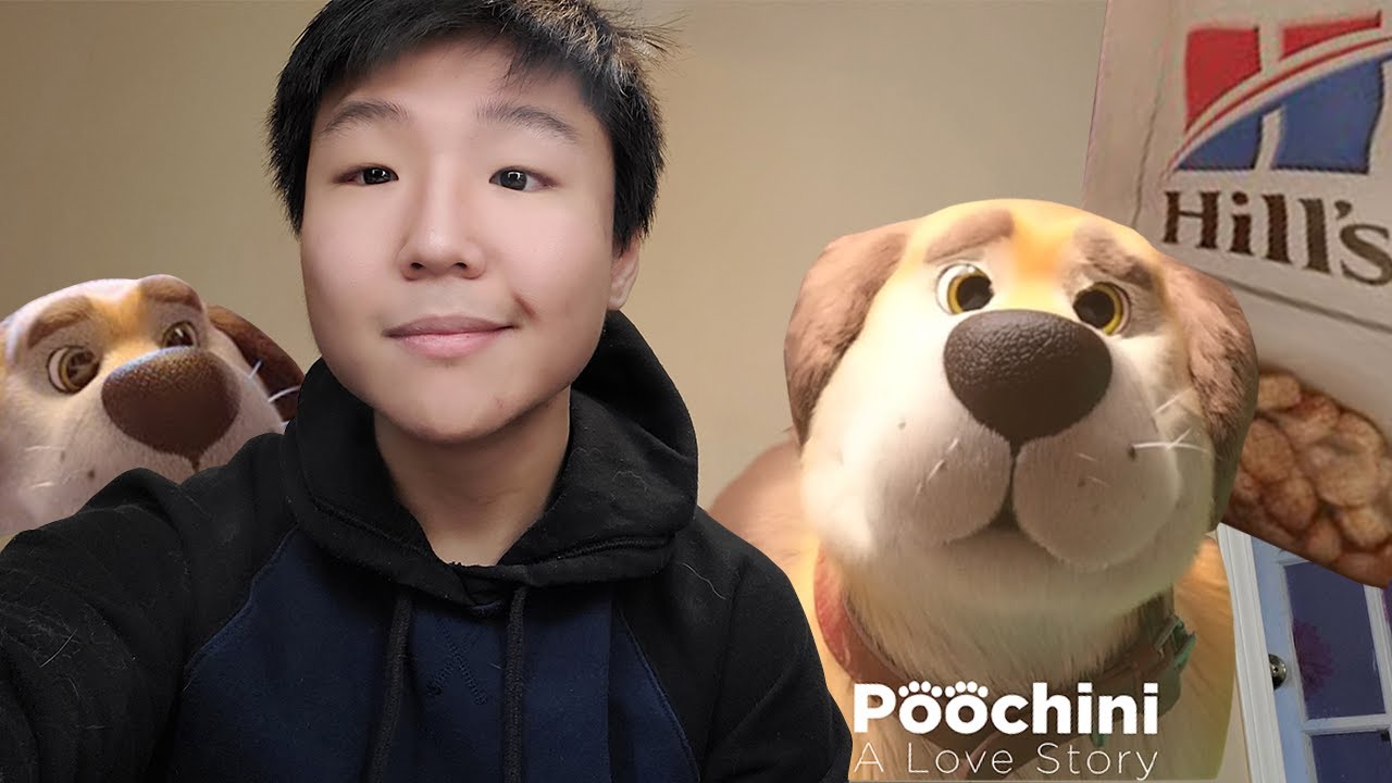 react to: (Poochini: A Love Story) #dchung #poochini #OfficalHillsPet ...
