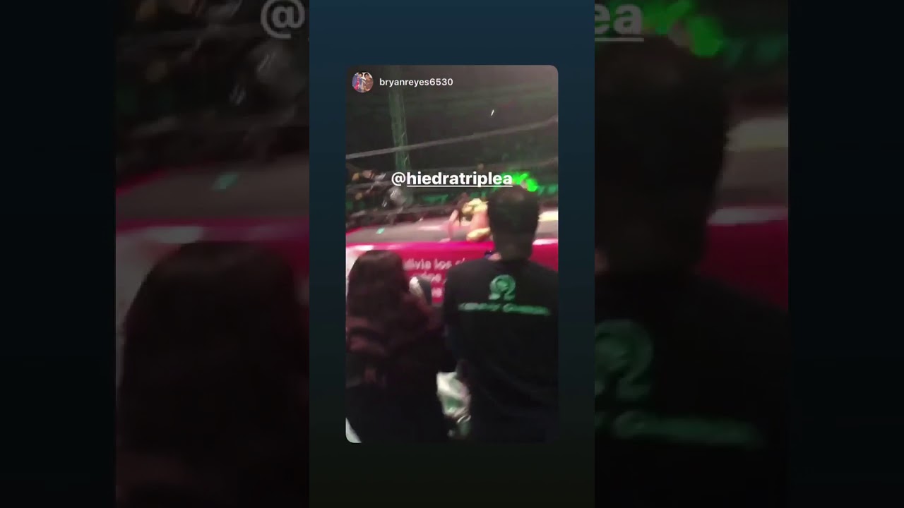 La Hiedra AAA - 21 Octubre 2019 - Instagram Stories HD Luchadora de AAA ...