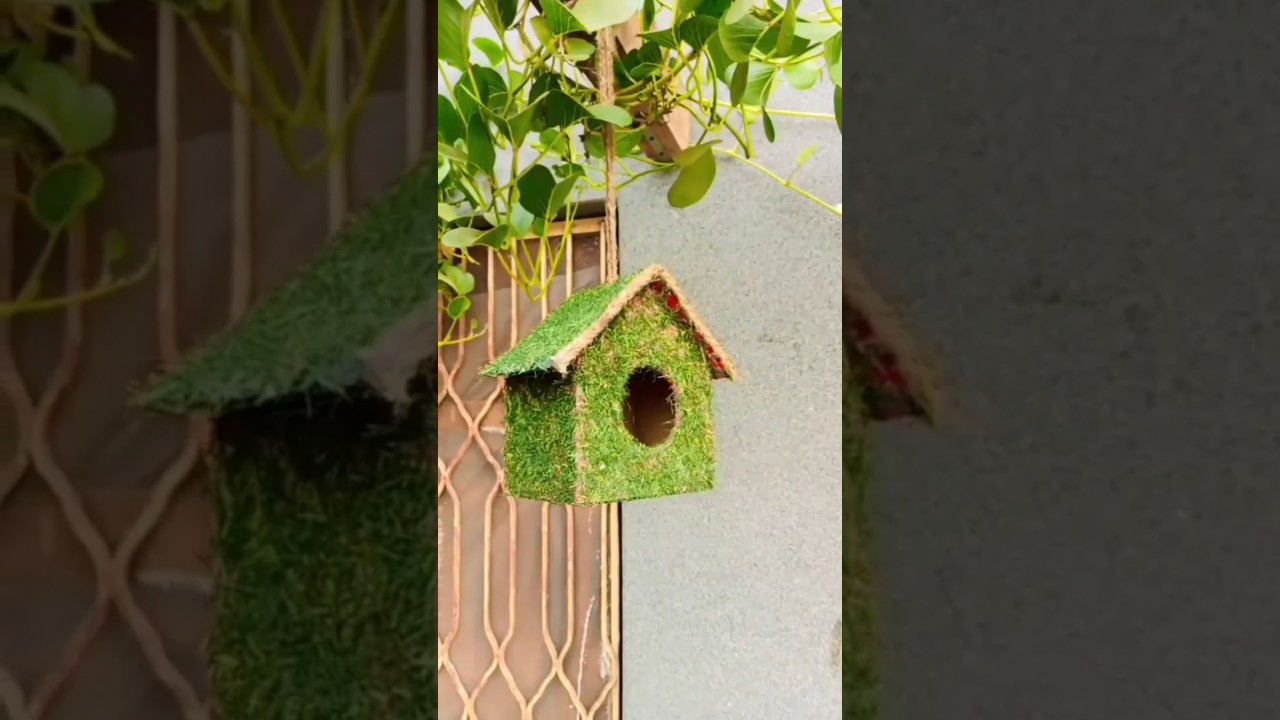 How to make a bird house ||how to make bird nest with waste material ...