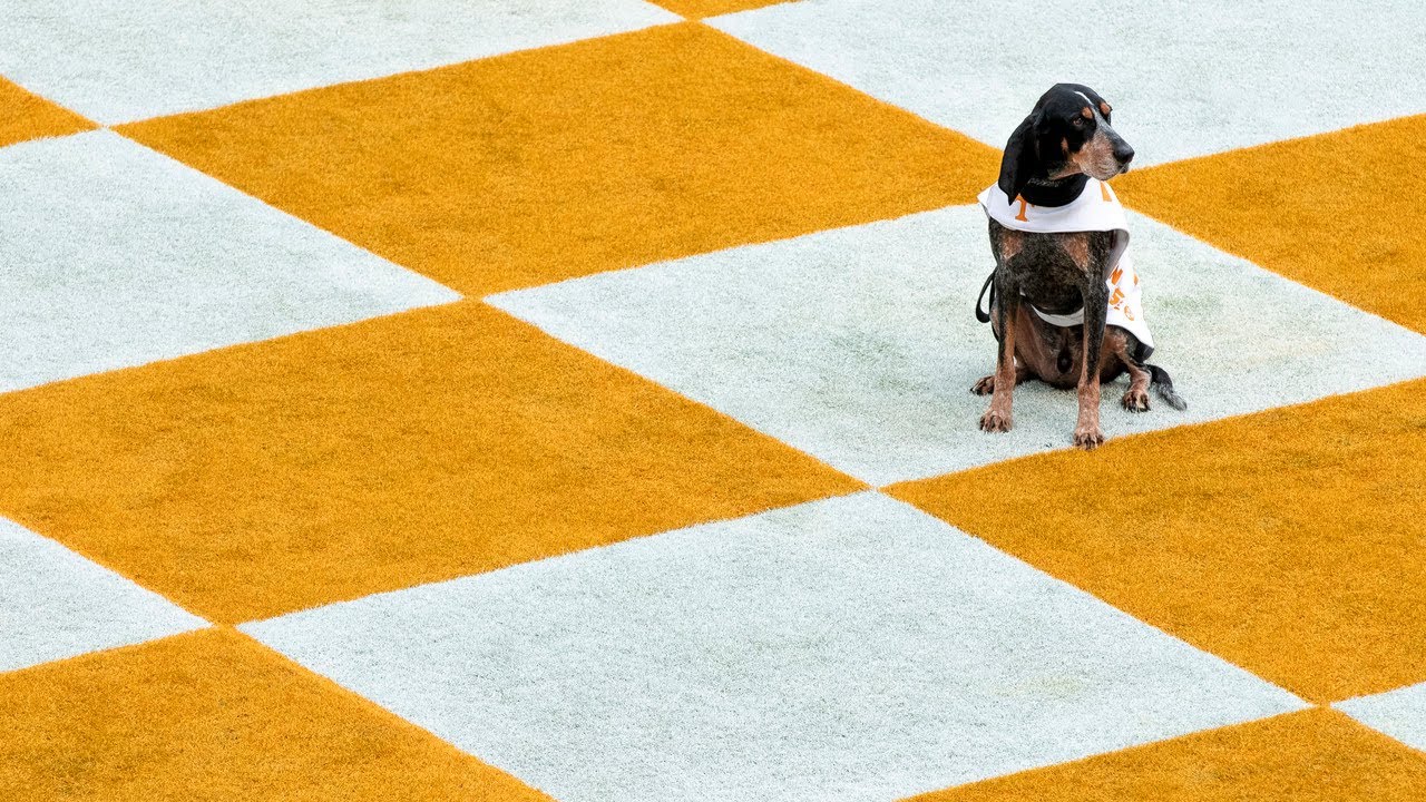 Tennessee Traditions: The Checkerboards - YouTube