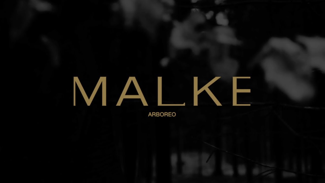MALKE - Arboreo [OFFICIAL VIDEO] - YouTube