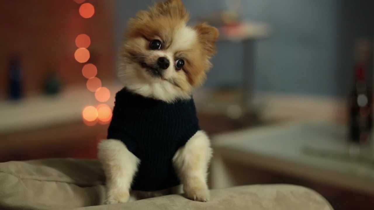 Commercial Bloopers - YouTube