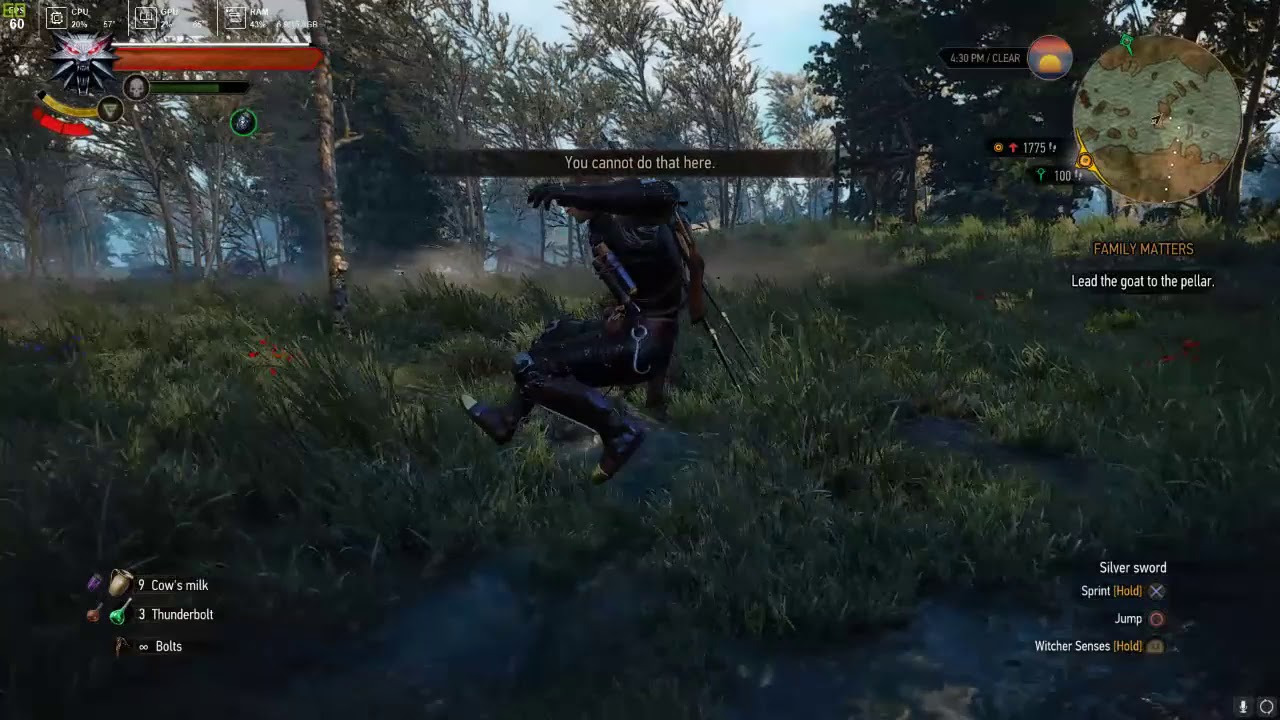 The Witcher 3 Lvl20 Bilge Hag Fight Death March Difficulty No W2 ...