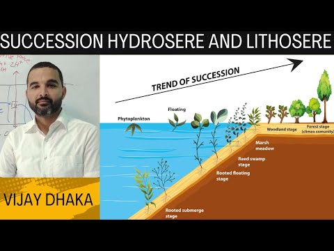 Examples of Succession l hydrosere and lithosere lecture 2 - YouTube