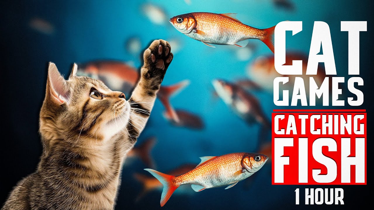 1 Hour Cat TV 🐟 | Realistic Fish Video for Indoor Cats to Watch in 4K ...
