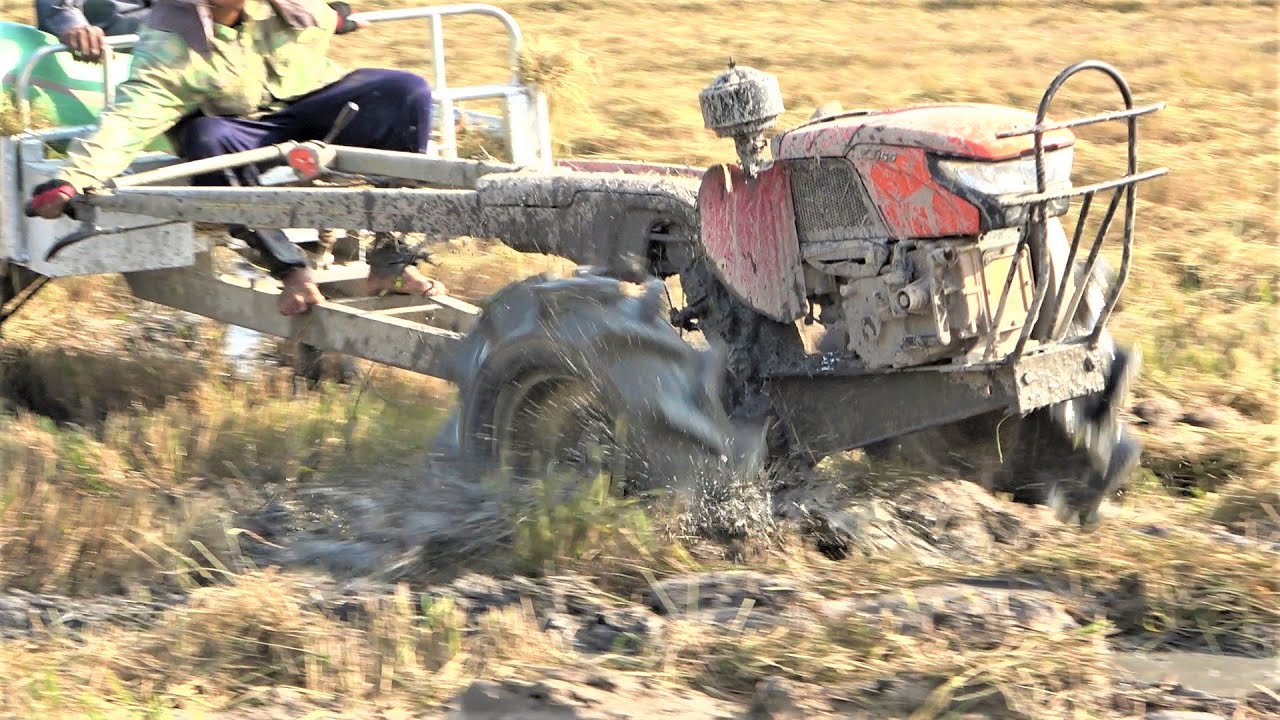 Medium Tractor Working On The Muddy, Incredible Tractor Transportation ...