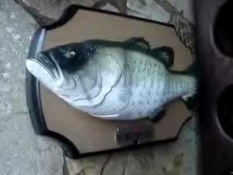 Youtube Poop: Fish Poop - YouTube
