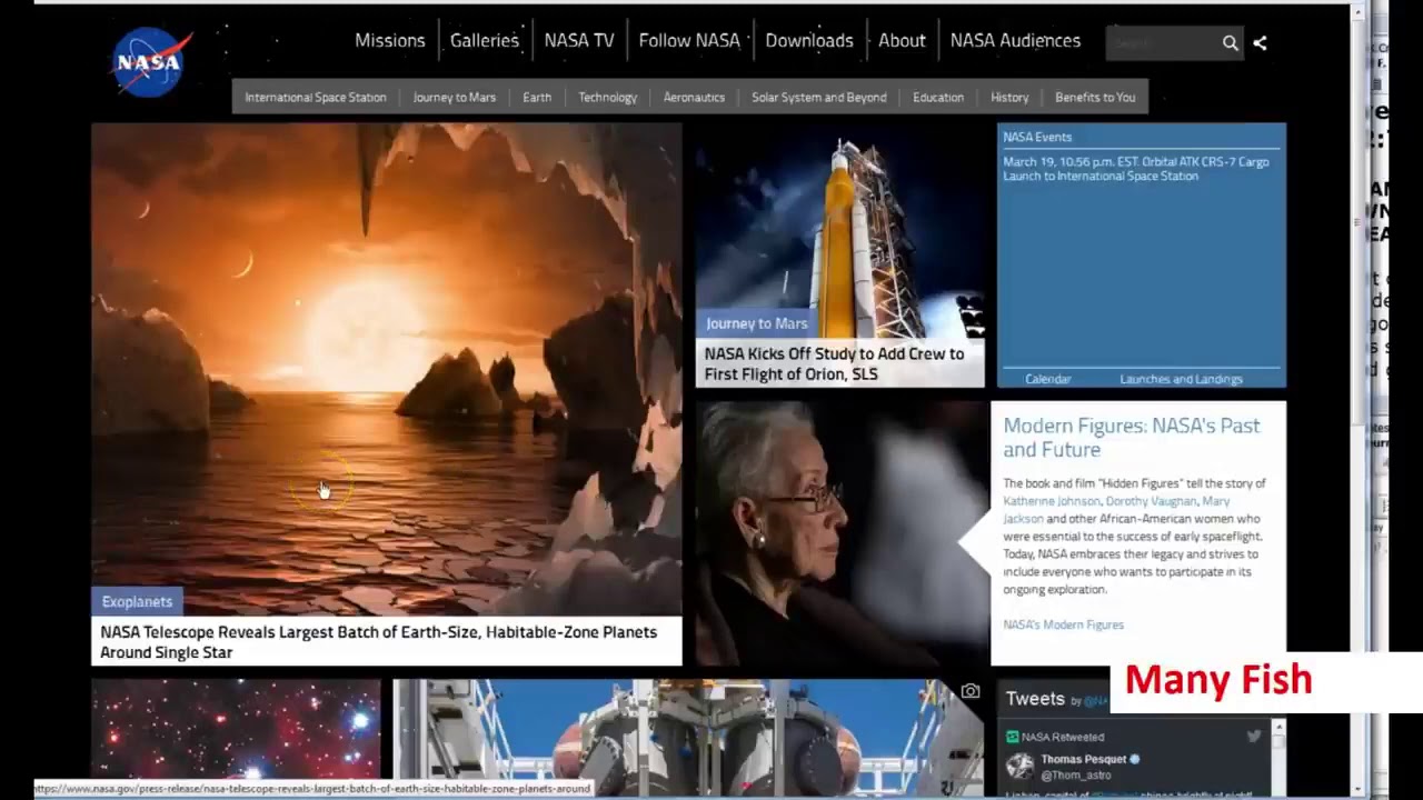 Is Heliofant NASA I Pet Goat 2 Animators Work For NASA You Decide ...