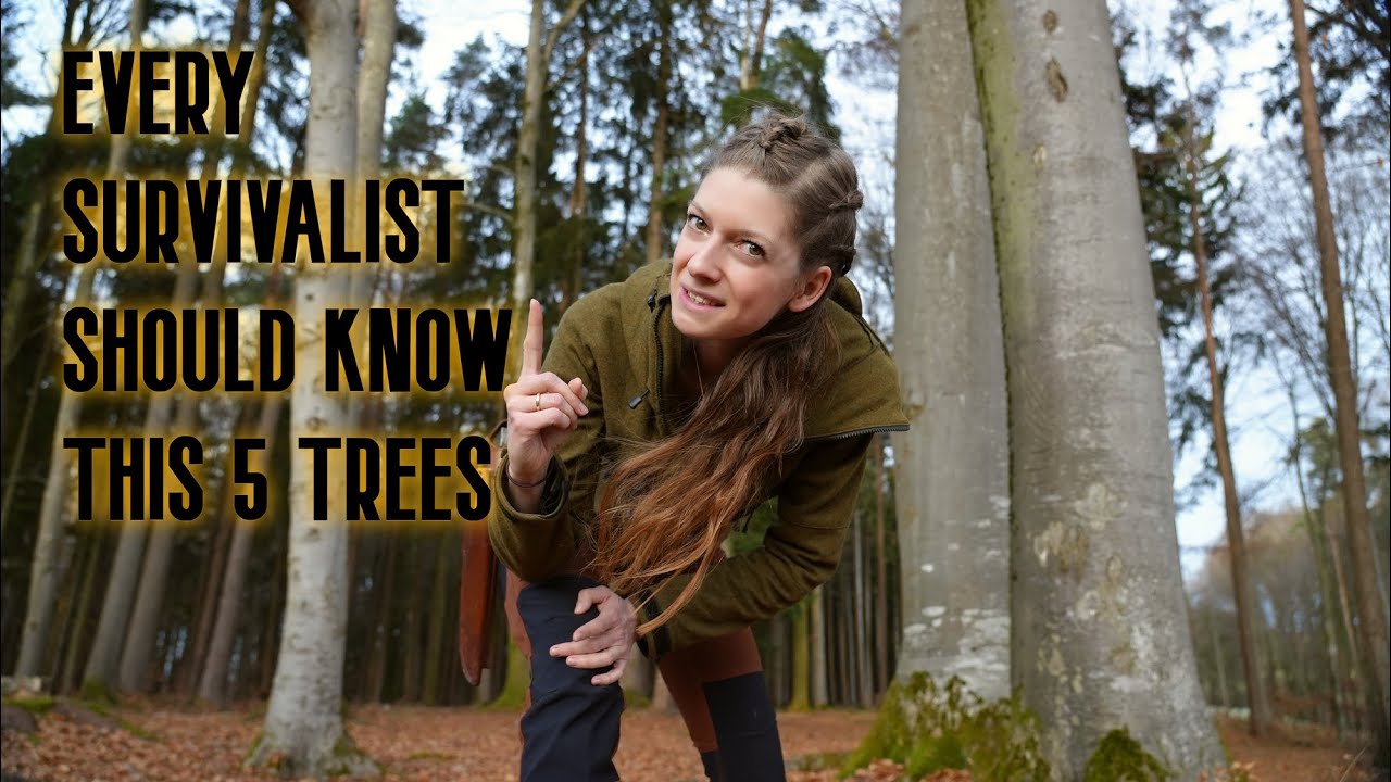 🌲 Every survivalist should know these 5 trees! 🌳🦊Survival knowledge ...