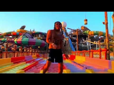 “Bitch Are You Dumb, or Stupid!?”