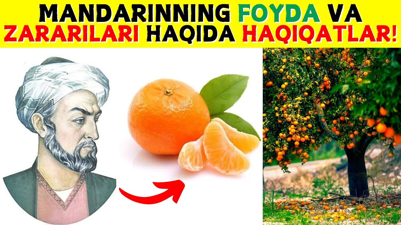 MANDARIN MEVASINING FOYDA VA ZARARLARI HAQIDA SIZ BILMAGAN HAQIQATLAR ...