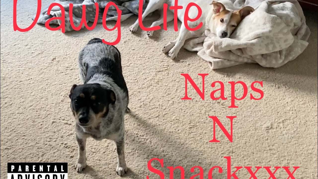 Dawg Life - Naps N SnackXXX - YouTube