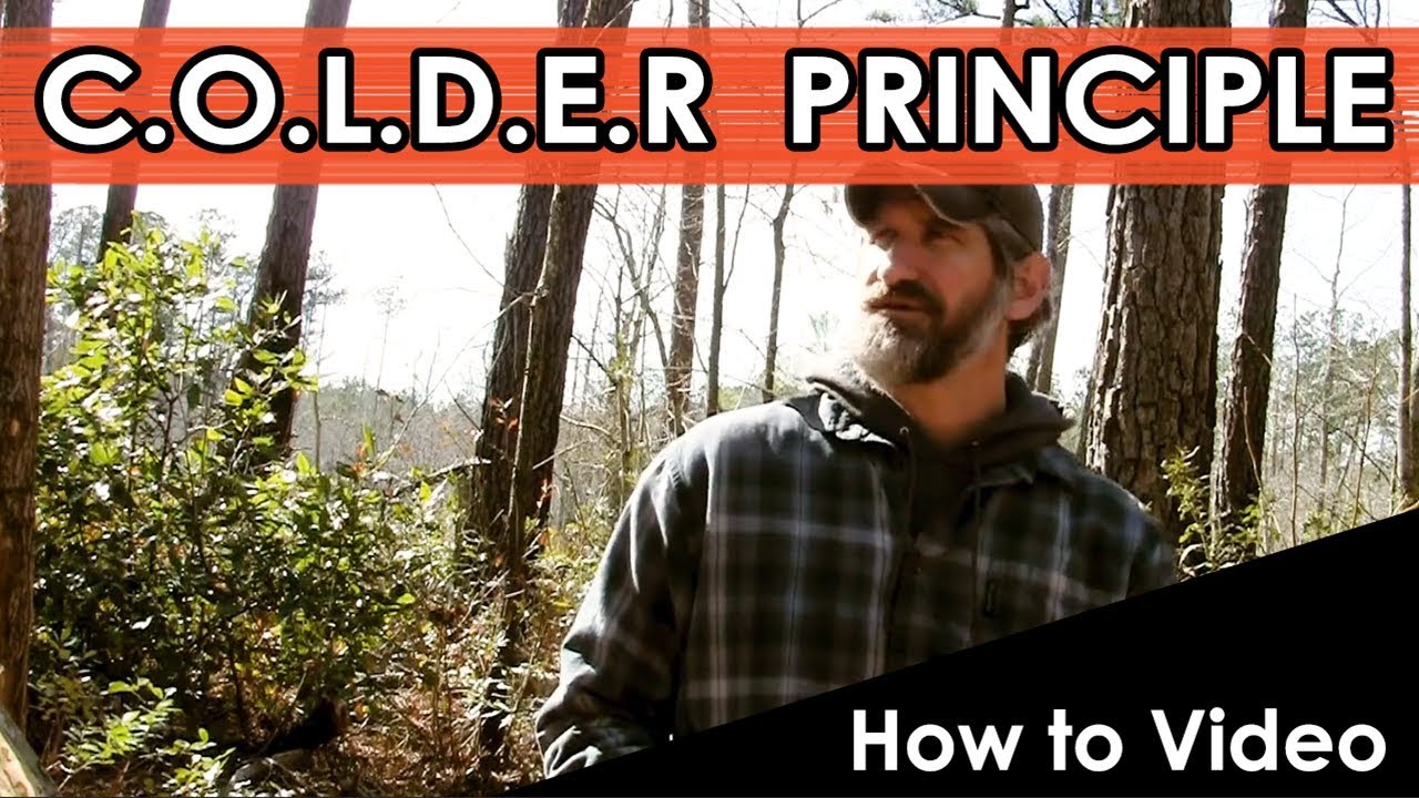 [Shelter Series] Colder Principle - YouTube