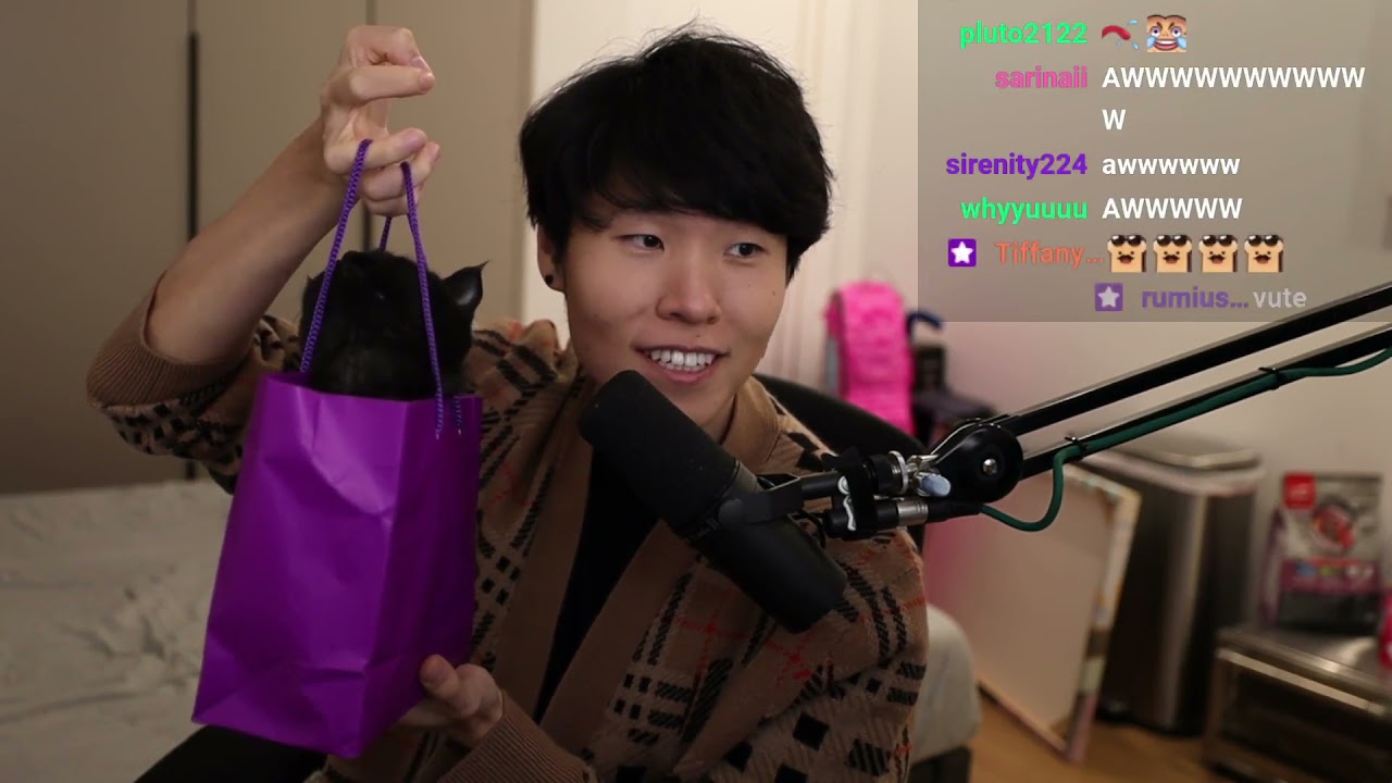 Disguised Toast Shows New Merch! - YouTube