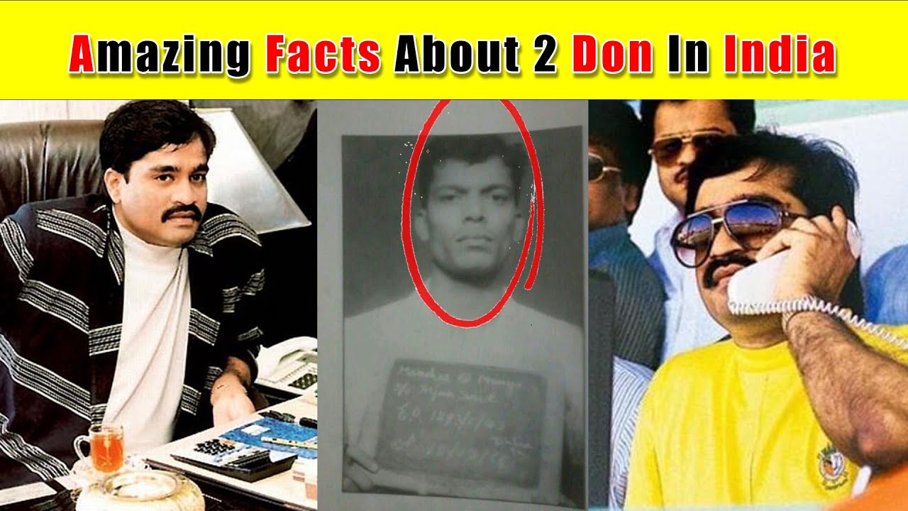 2 Real Life Don of India | 2 Don of India | ASJS Facts #shorts #viral # ...