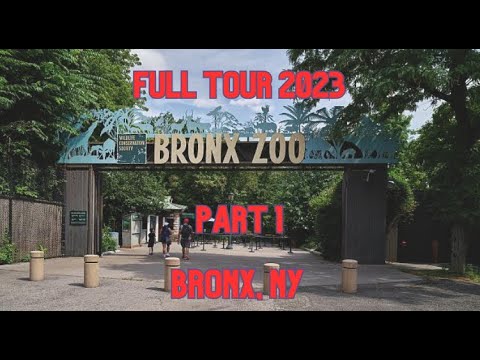 Bronx zoo Full Tour 2023 - Part 1 - YouTube