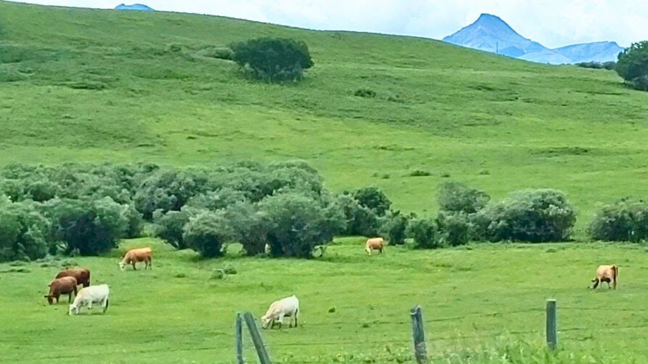 GLORIOUS VIEW | MASTER TIM - YouTube